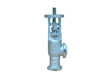 SRV Valves